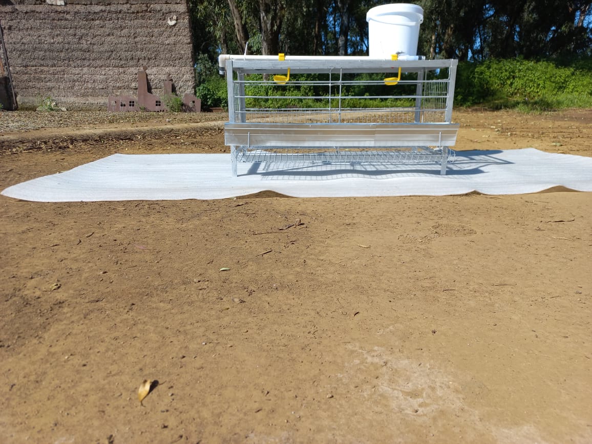 10H layer cpt - Serakane Solutions